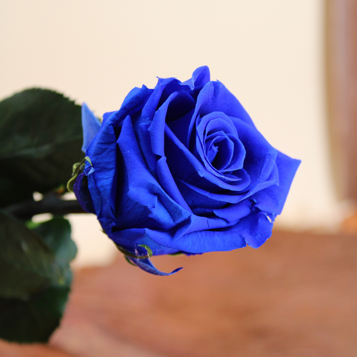 LES FLEURS ETERNELLES | FLOR'M by Nico Fleur