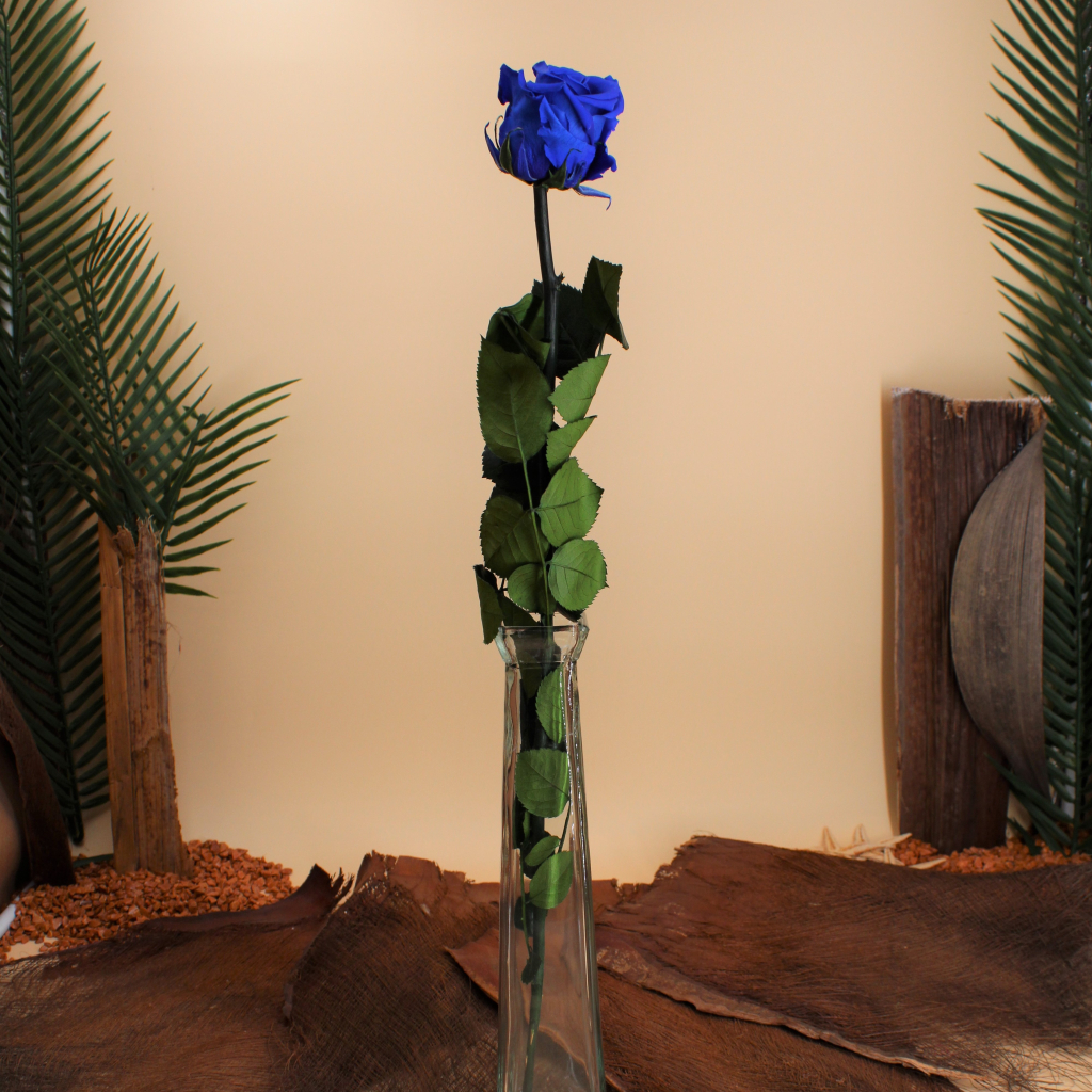 LES FLEURS ETERNELLES | FLOR'M by Nico Fleur